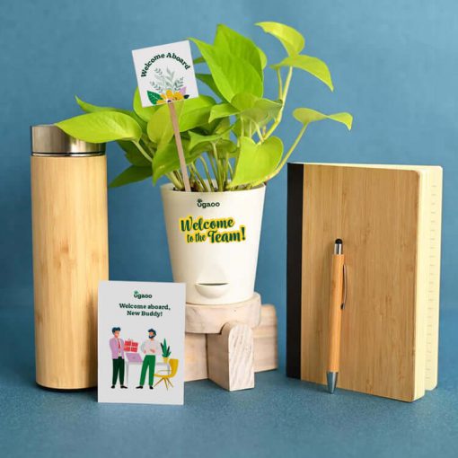 Welcome Kit - 75+ Ý Tưởng Độc Đáo Dành Cho Nhân Viên Mới